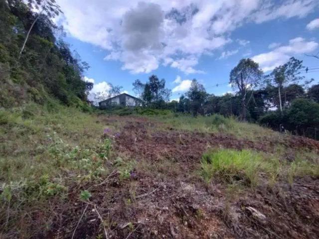 Terreno / Lote para Venda em Brusque/SC Rio Branco