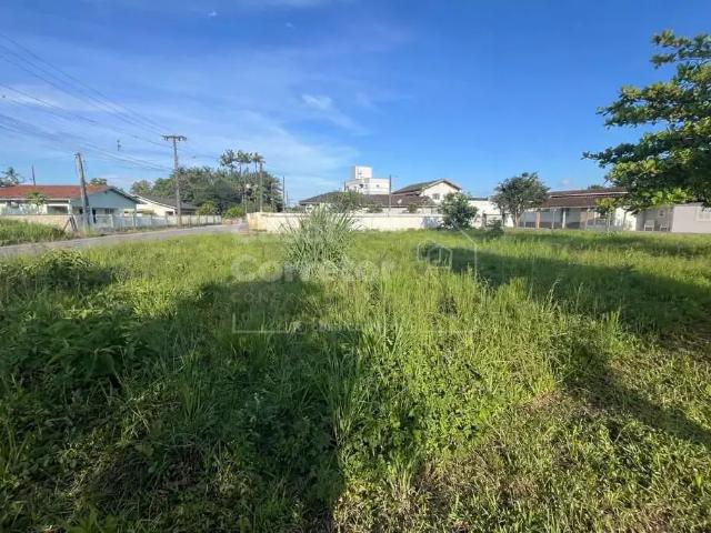 Terreno / Lote para Venda em Brusque/SC Volta Grande