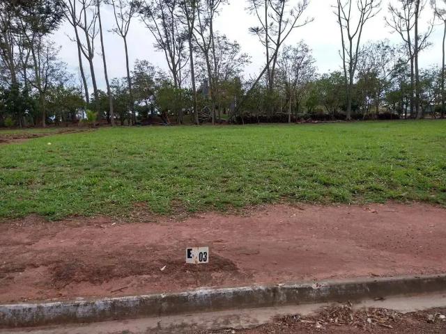 Terreno / Lote para Venda em Buritama/SP Centro