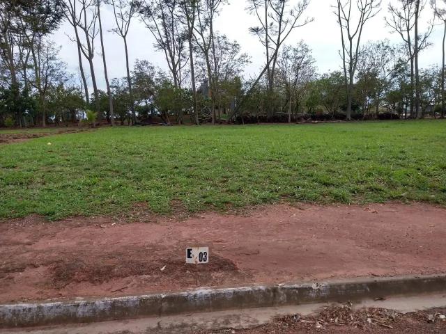 Terreno / Lote para Venda em Buritama/SP Buritama