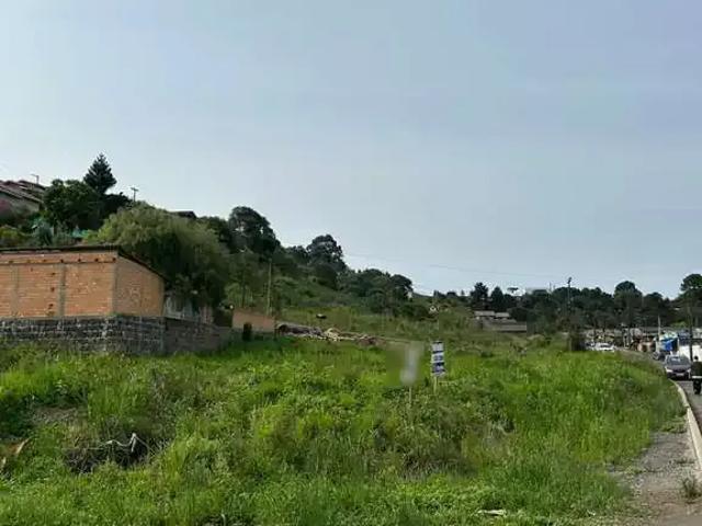Terreno / Lote para Venda em Caçador/SC Martello