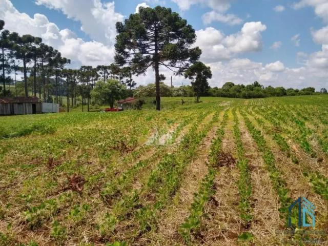 Terreno / Lote para Venda em Caçador/SC Nossa Senhora Salete