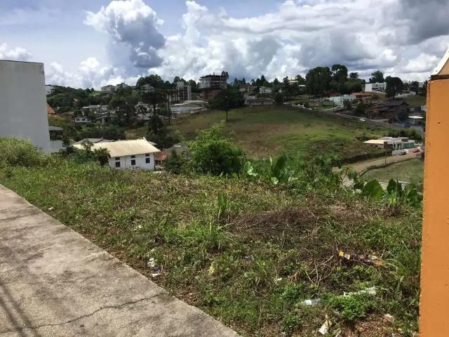 Terreno / Lote para Venda em Caçador/SC Reunidas