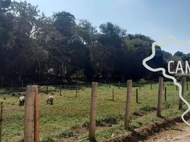 Terreno / Lote para Venda em Caçapava/SP Área Rural de Caçapava