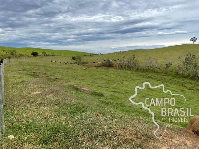 Terreno / Lote para Venda em Caçapava/SP Área Rural de Caçapava