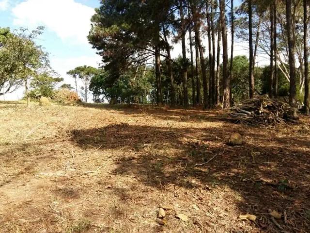 Terreno / Lote para Venda em Caçapava/SP Chácara Itamarati