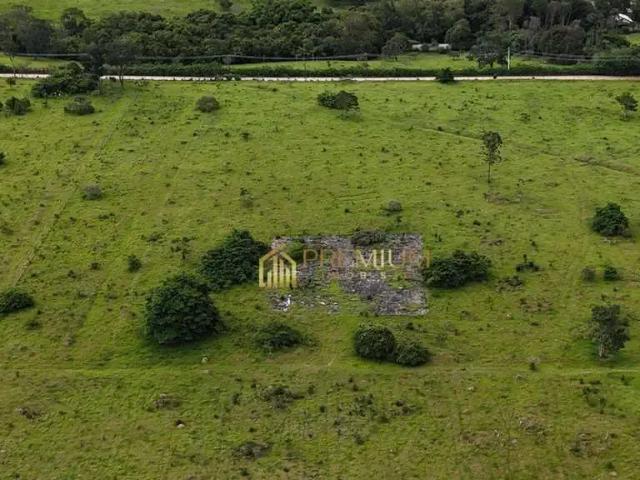 Terreno / Lote para Venda em Caçapava/SP Jardim Campo Grande