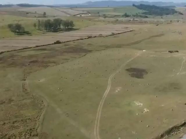 Terreno / Lote para Venda em Caçapava/SP Jardim Campo Grande
