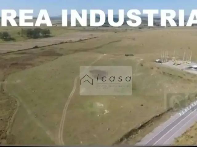Terreno / Lote para Venda em Caçapava/SP Jardim Campo Grande