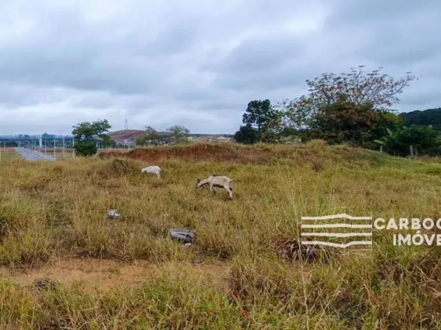 Terreno / Lote para Venda em Caçapava/SP Jardim Panorama