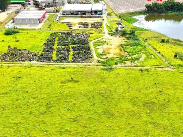 Terreno / Lote para Venda em Caçapava/SP Piedade