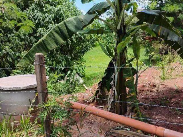 Terreno / Lote para Venda em Caçapava/SP Sítio Adriana