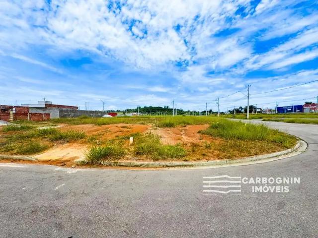 Terreno / Lote para Venda em Caçapava/SP Vila Menino Jesus