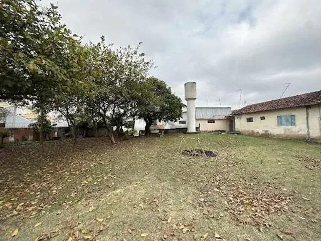 Terreno / Lote para Venda em Caçapava/SP Vila Pantaleão