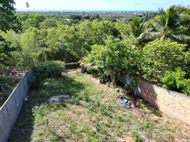 Terreno / Lote para Venda em Camaçari/BA Monte Gordo