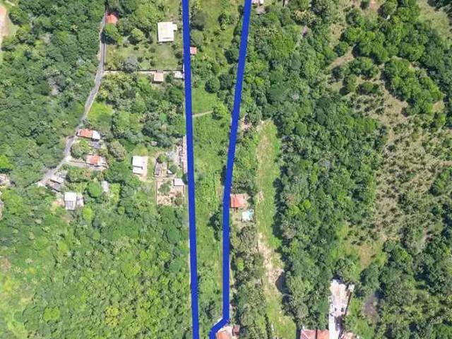 Terreno / Lote para Venda em Camaçari/BA Monte Gordo