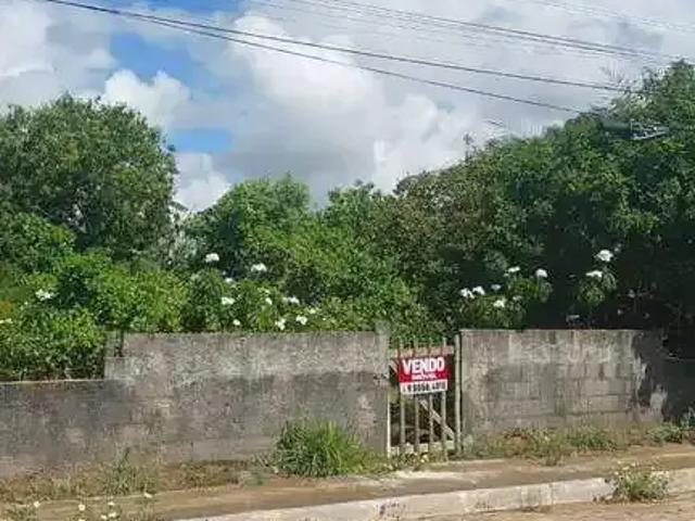 Terreno / Lote para Venda em Camaçari/BA Monte Gordo