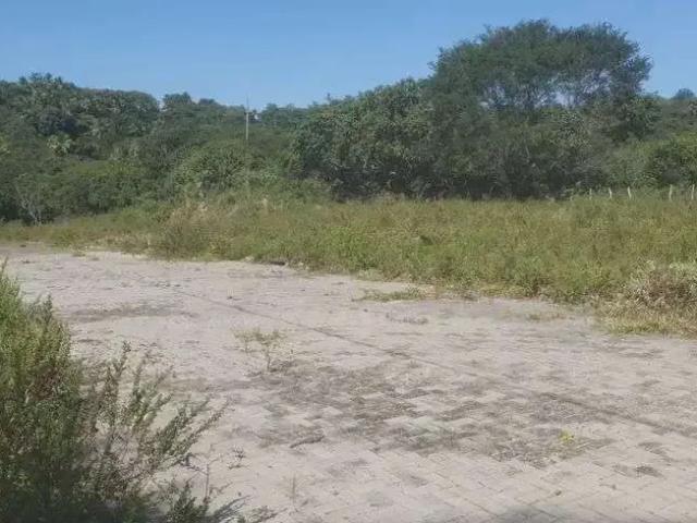 Terreno / Lote para Venda em Camaçari/BA Monte Gordo