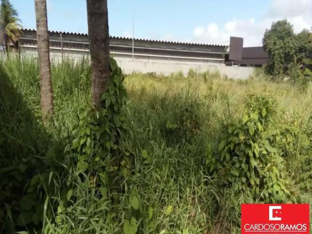 Terreno / Lote para Venda em Camaçari/BA Abrantes