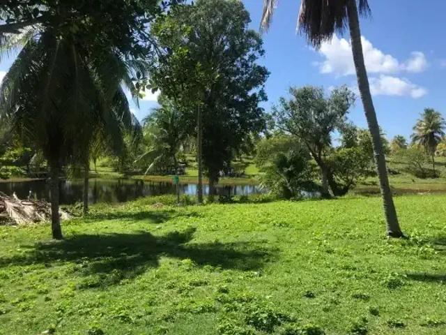 Terreno / Lote para Venda em Camaçari/BA Busca Vida