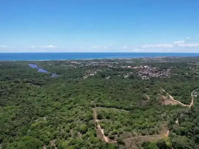 Terreno / Lote para Venda em Camaçari/BA Barra de Pojuca