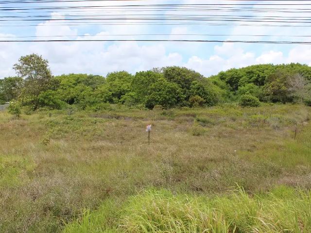 Terreno / Lote para Venda em Camaçari/BA Barra do Jacuípe
