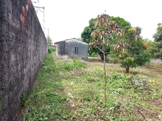 Terreno / Lote para Venda em Camaçari/BA Camaçari de Dentro
