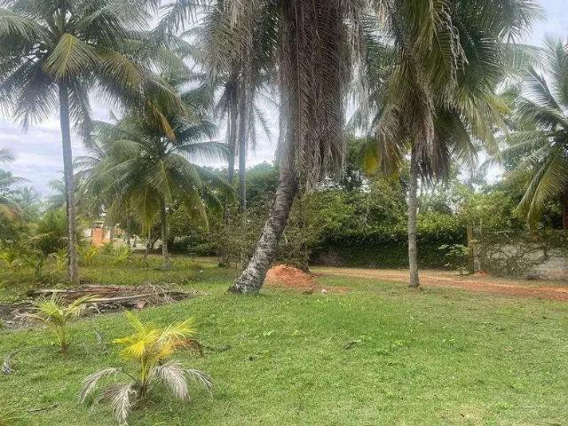 Terreno / Lote para Venda em Camaçari/BA Camaçari de Dentro