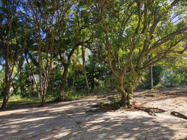 Terreno / Lote para Venda em Camaçari/BA Guarajuba