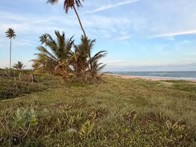 Terreno / Lote para Venda em Camaçari/BA Guarajuba