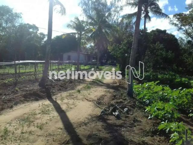 Terreno / Lote para Venda em Camaçari/BA Phoc II