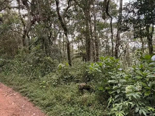 Terreno / Lote para Venda em Camanducaia/MG Monte Verde