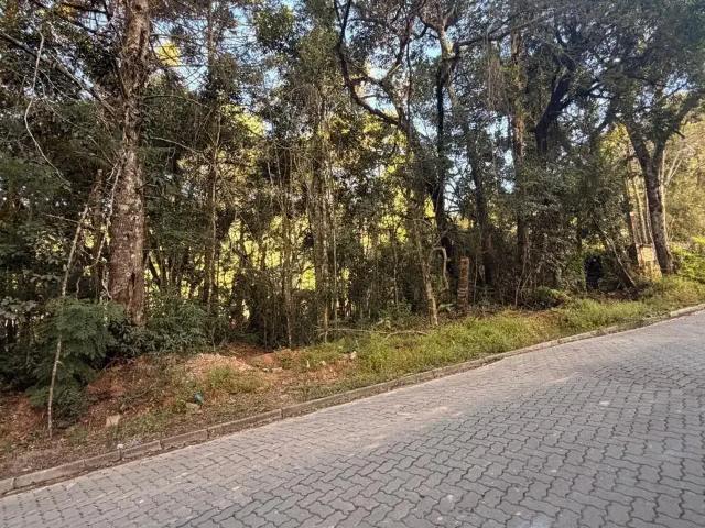 Terreno / Lote para Venda em Camanducaia/MG Monte Verde