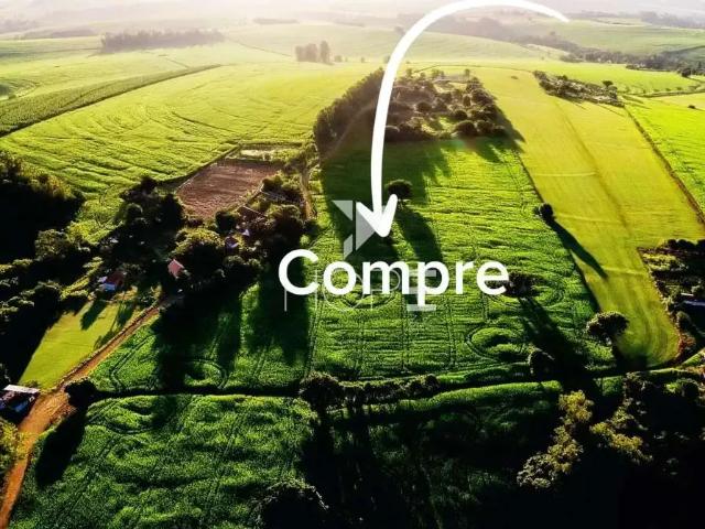 Terreno / Lote para Venda em Cambé/PR Área Rural de Cambé