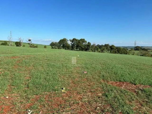 Terreno / Lote para Venda em Cambé/PR Centro