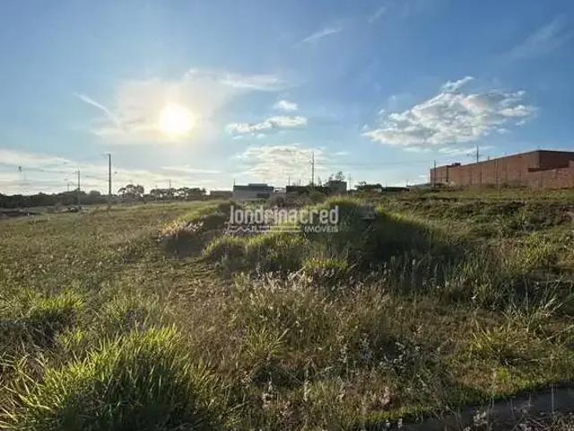 Terreno / Lote para Venda em Cambé/PR Chácara Santa Maria