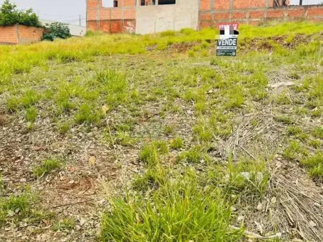 Terreno / Lote para Venda em Cambé/PR Conjunto Habitacional Antônio Euthymio Casaroto