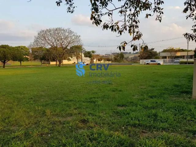 Terreno / Lote para Venda em Cambé/PR Jardim Tarobá