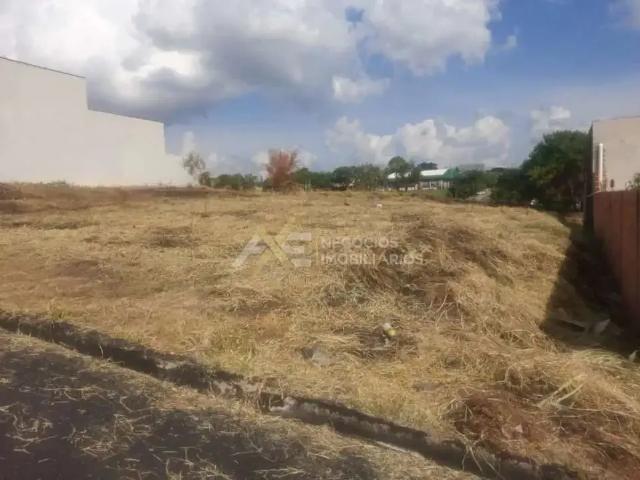 Terreno / Lote para Venda em Cambé/PR Jardim Terra Vermelha