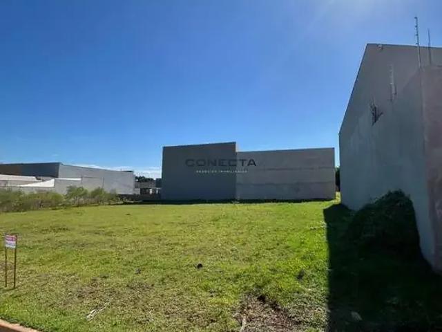 Terreno / Lote para Venda em Cambé/PR Jardim Bella Vida
