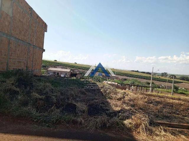 Terreno / Lote para Venda em Cambé/PR Jardim Europa
