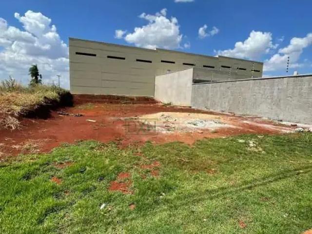 Terreno / Lote para Venda em Cambé/PR Jardim Nova Cambé