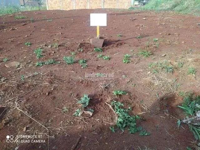 Terreno / Lote para Venda em Cambé/PR Jardim Parana