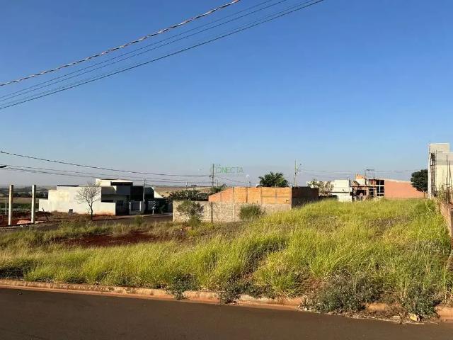 Terreno / Lote para Venda em Cambé/PR Jardim Parana