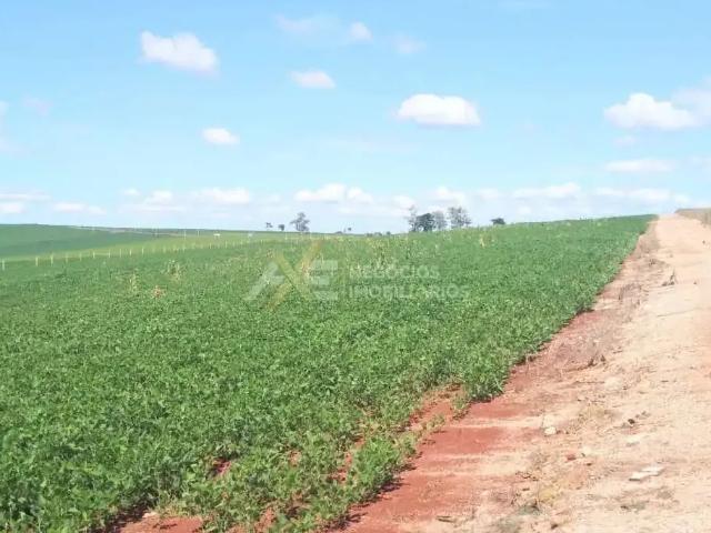 Terreno / Lote para Venda em Cambé/PR Parque Industrial José Garcia Gimenes