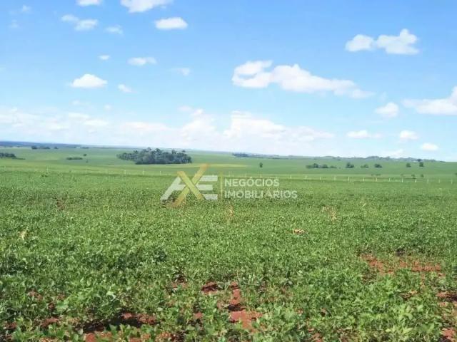 Terreno / Lote para Venda em Cambé/PR Parque Industrial José Garcia Gimenes