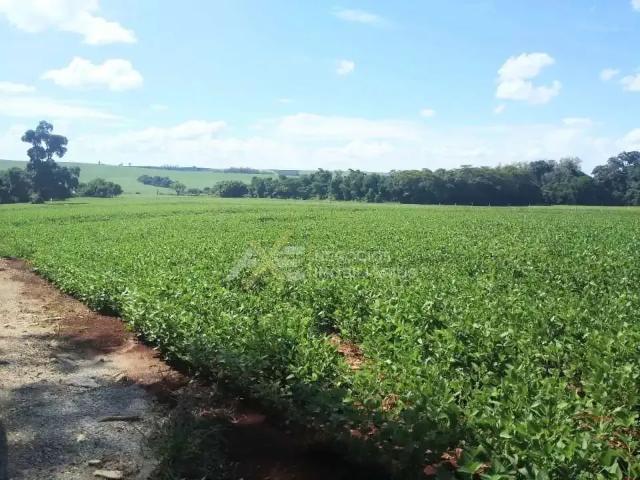 Terreno / Lote para Venda em Cambé/PR Parque Industrial José Garcia Gimenes