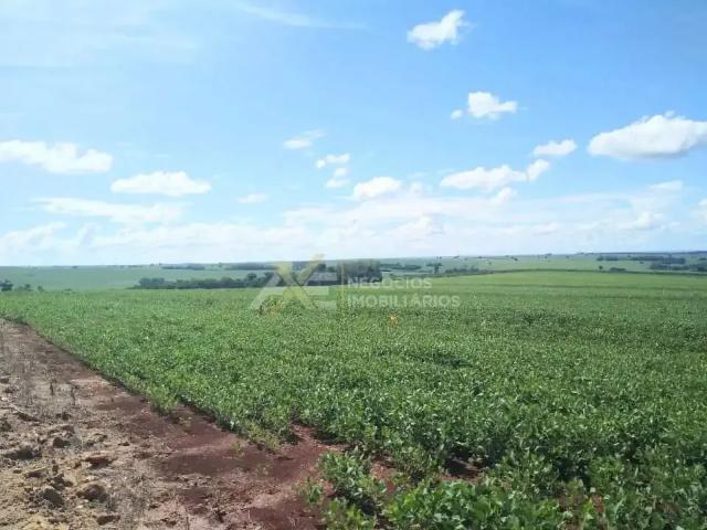 Terreno / Lote para Venda em Cambé/PR Parque Industrial José Garcia Gimenes