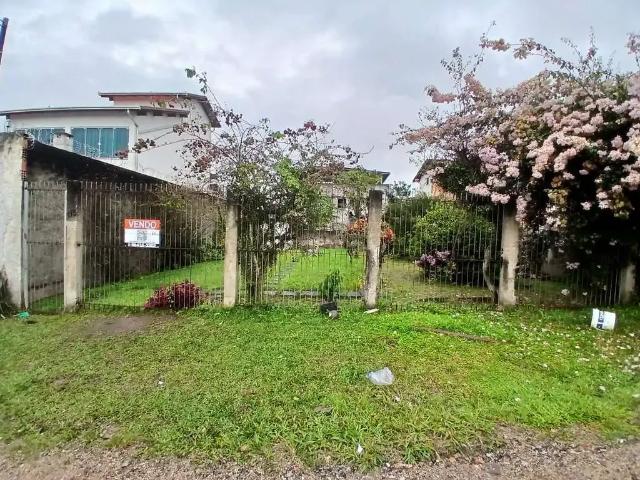 Terreno / Lote para Venda em Camboriú/SC Monte Alegre