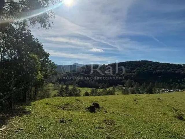 Terreno / Lote para Venda em Camboriú/SC Área Rural de Camboriú